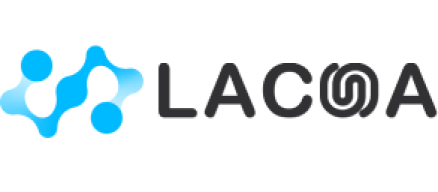 Lacuna: Your monetization strategy partner